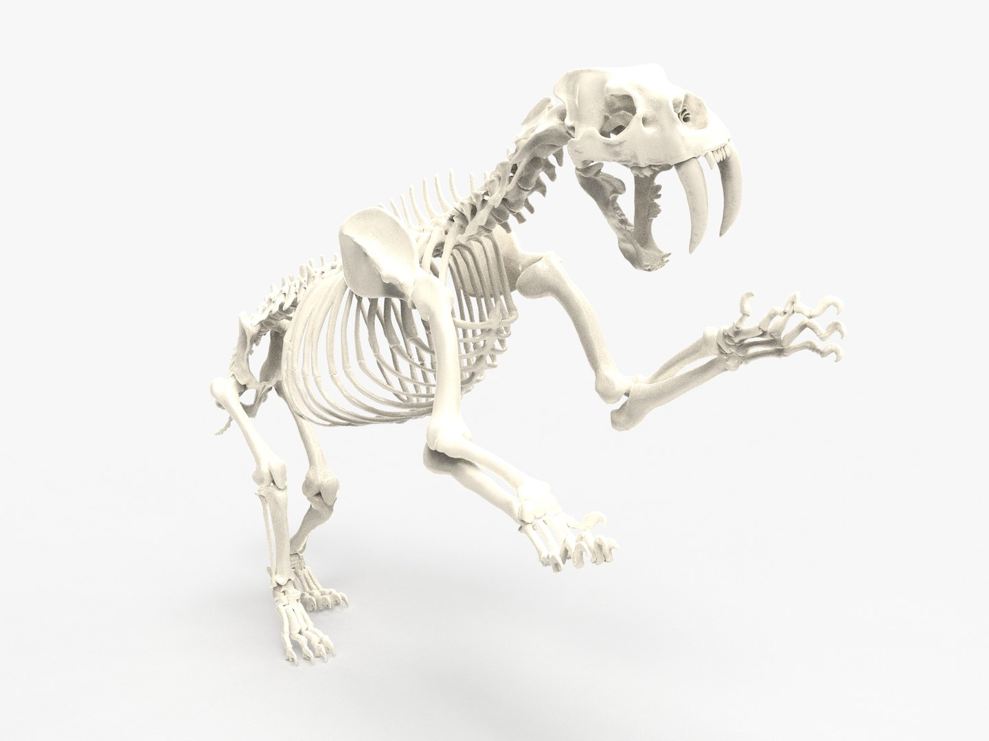3D Saber Tooth Tiger Model - TurboSquid 1428439
