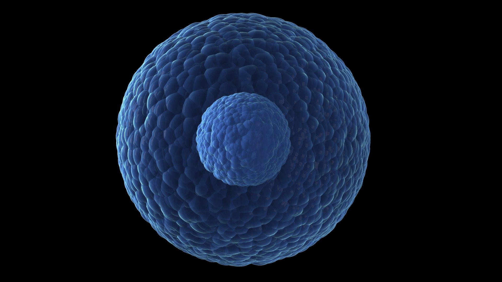 Bacteria Sphere 3D - TurboSquid 1713957