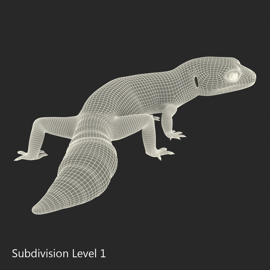 3d leopard gecko pose 4 model
