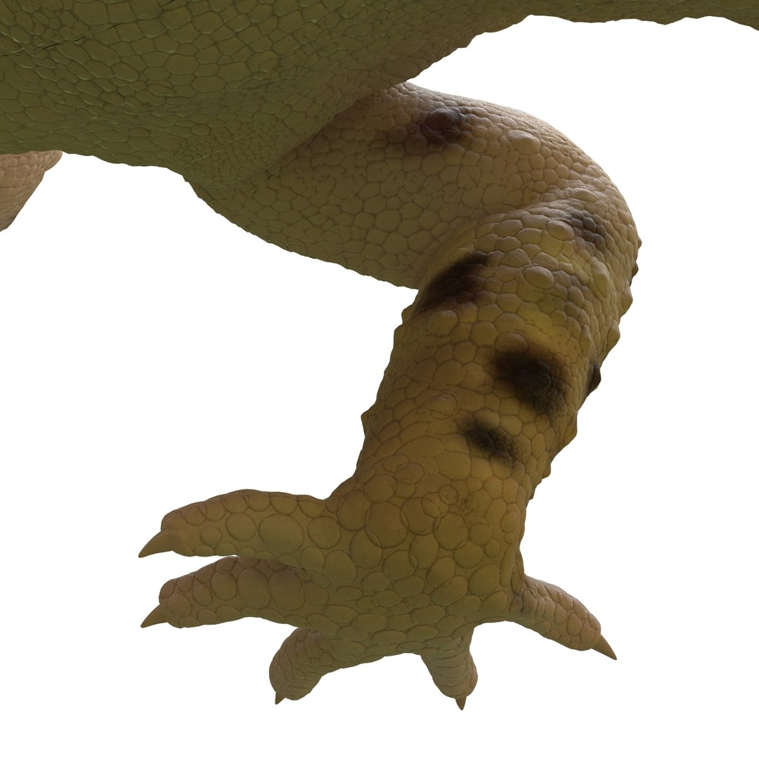 3d leopard gecko pose 4 model