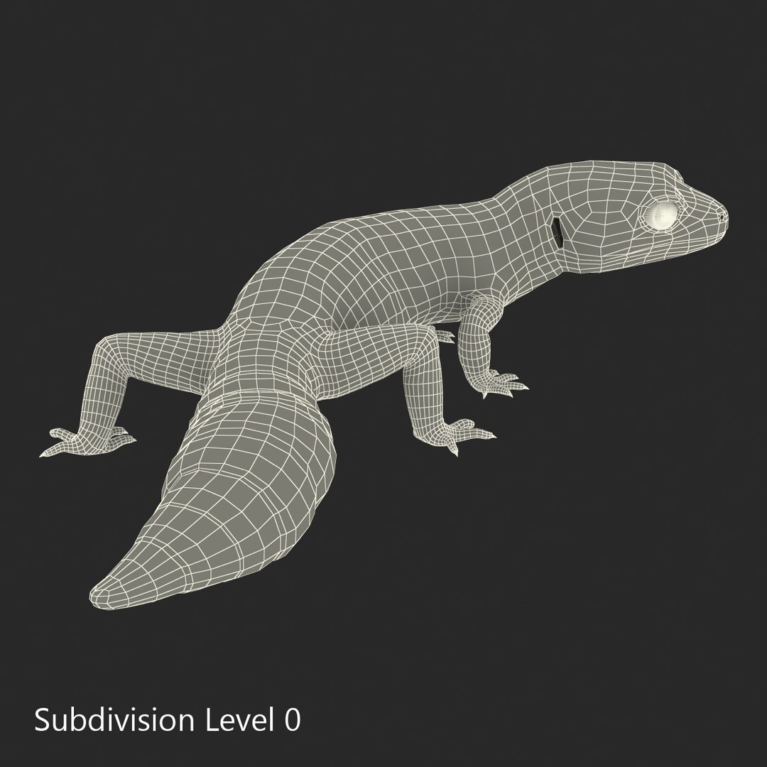 3d leopard gecko pose 4 model