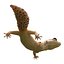 3d Leopard Gecko Pose 4 Model