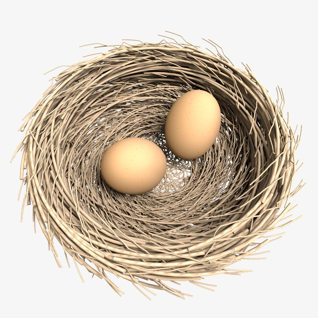 3d Model Nest Egg 2
