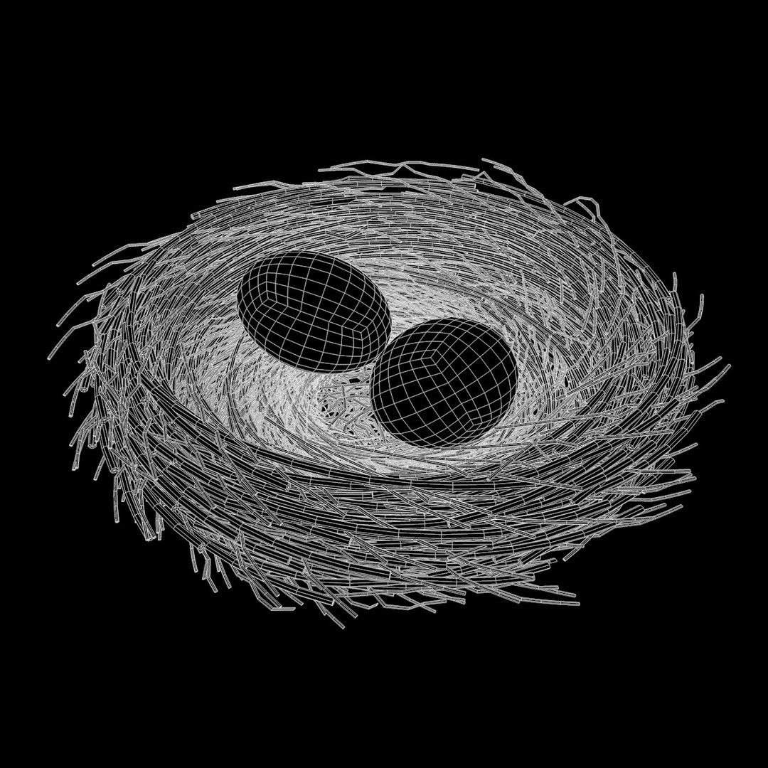 3d Model Nest Egg 2