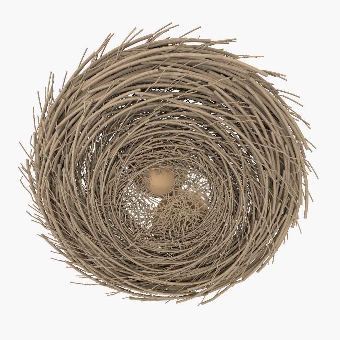 3d Model Nest Egg 2