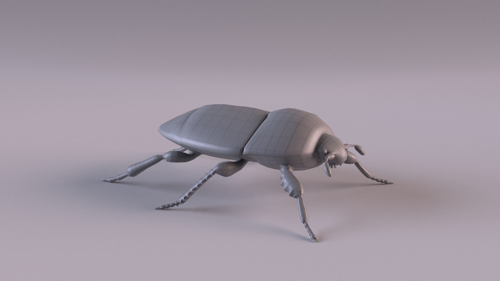 3D Model Saprinus Interruptus Beetle - TurboSquid 1701166