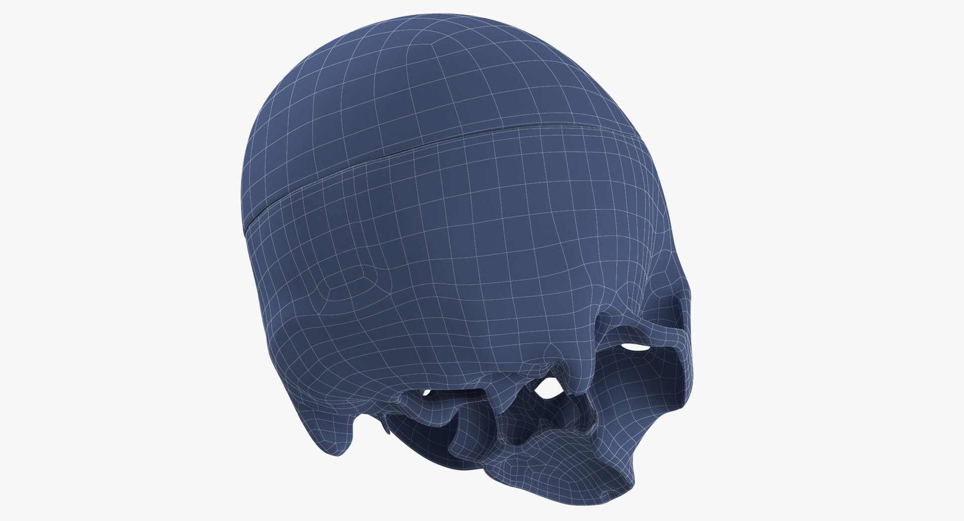 modelo 3d Cráneo humano real Cranial 02 cortado con pieza - TurboSquid ...