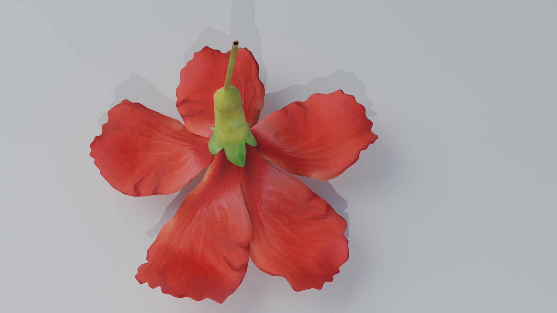 Red Hibiscus Flower 3D Model - TurboSquid 2153941