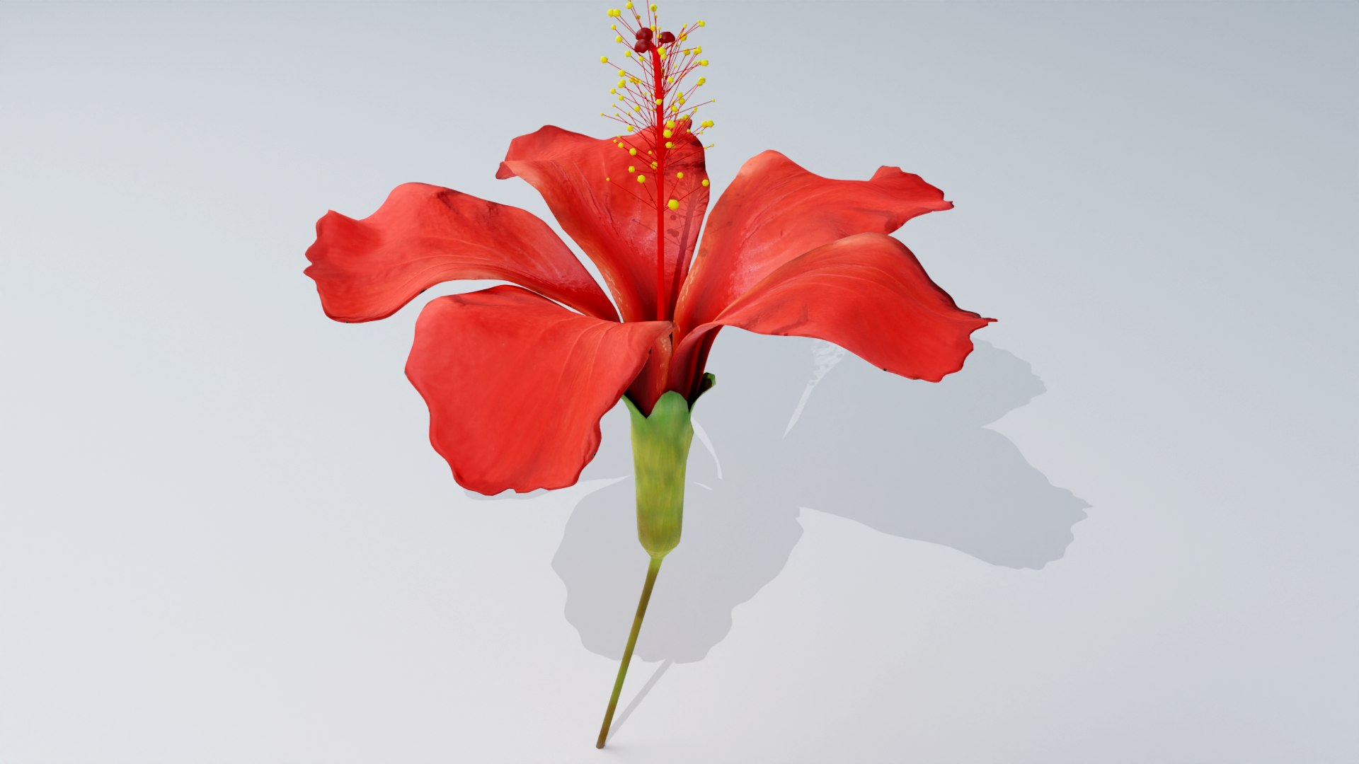 Red Hibiscus Flower 3D Model - TurboSquid 2153941