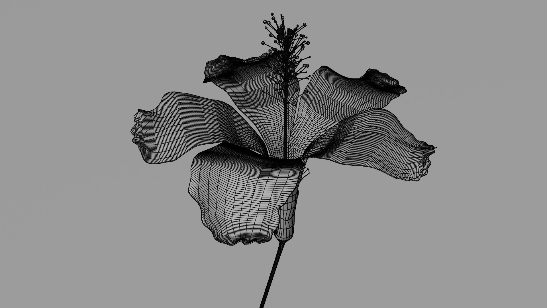 Red Hibiscus Flower 3D Model - TurboSquid 2153941
