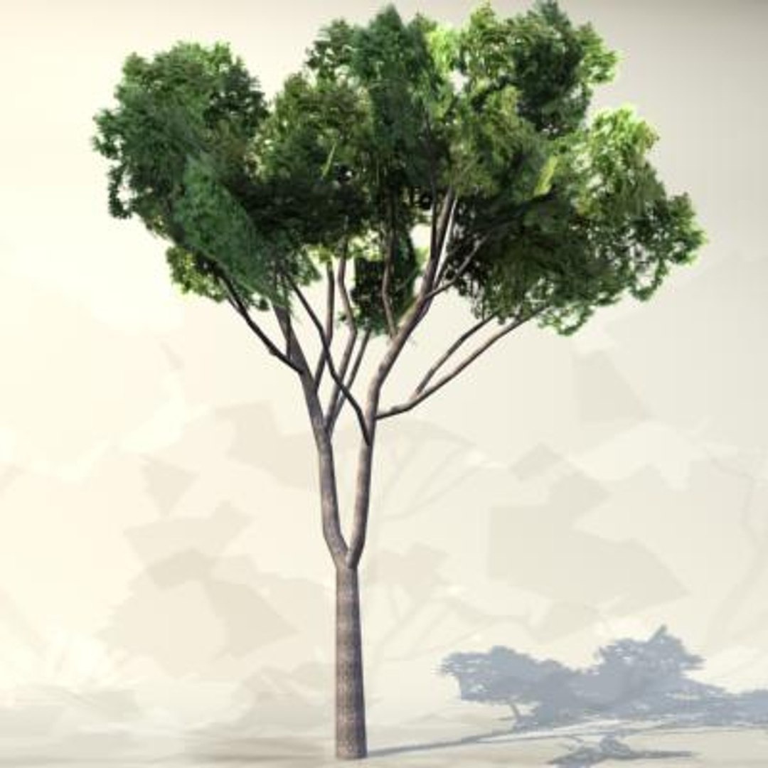 Pc Tree 3d Model