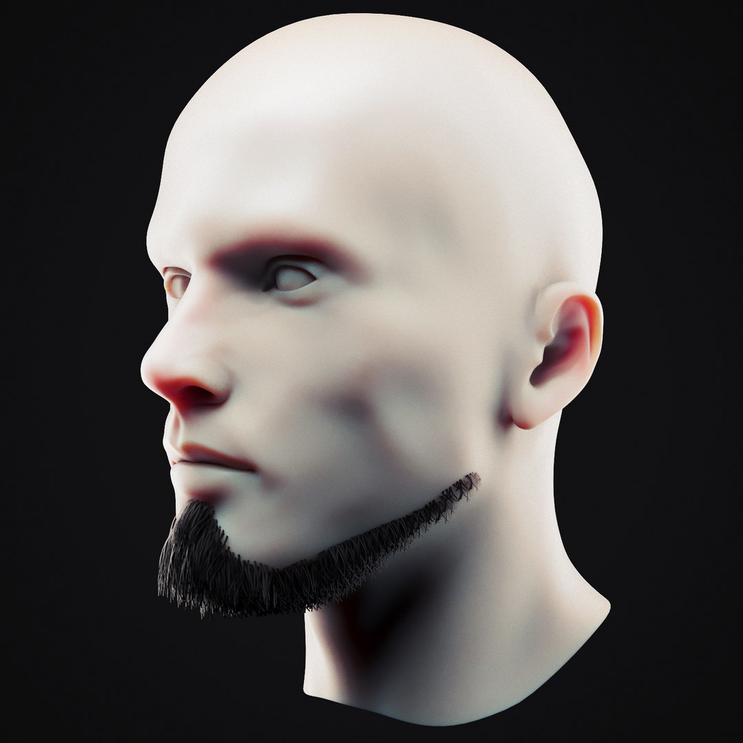 3D Beard 17 - TurboSquid 1489875