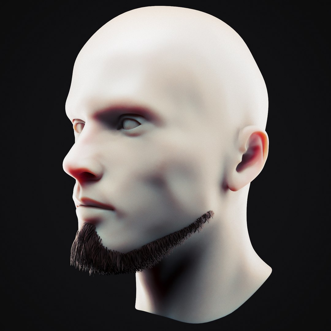 3D Beard 17 - TurboSquid 1489875