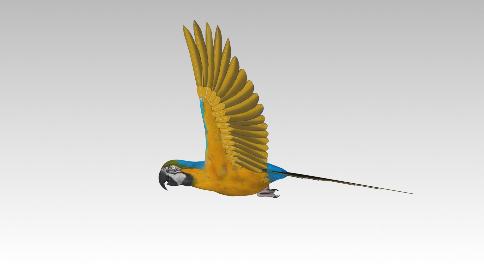 3D Macaw Model - TurboSquid 2194138