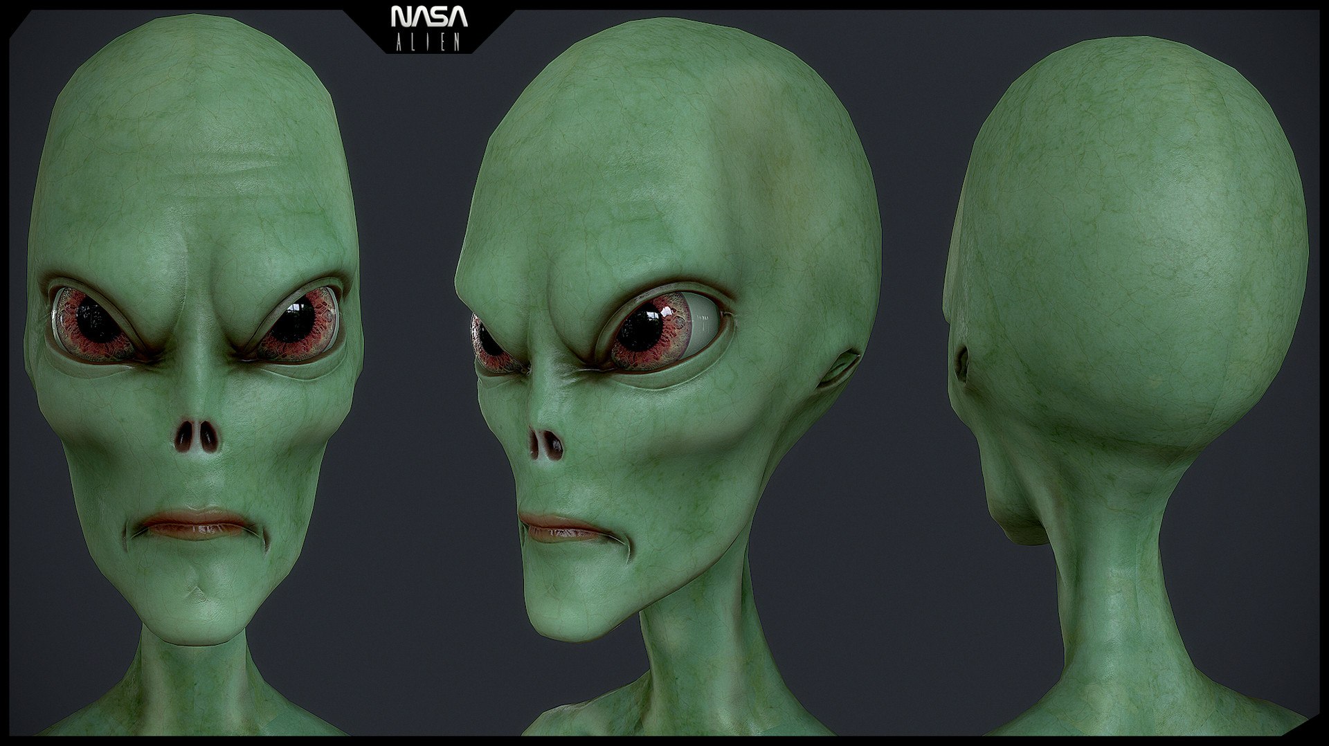 Nasa Alien Suite 3d Model