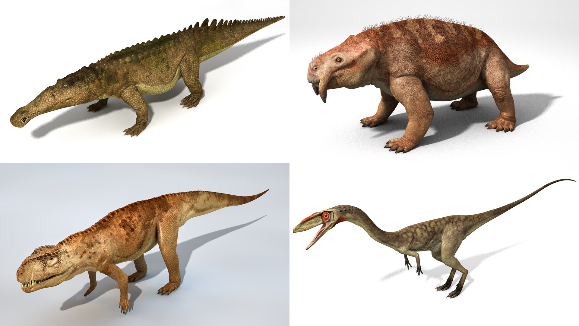 Triassic Collection 3D - TurboSquid 2315131