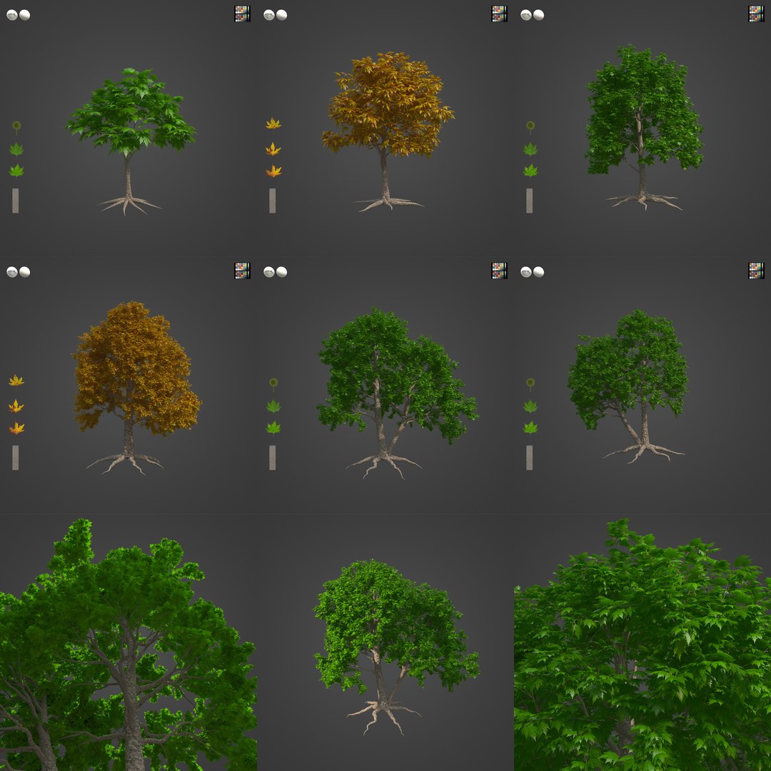 2021 PBR Oriental Planetree Collection - Platanus Orientalis 3D Model ...