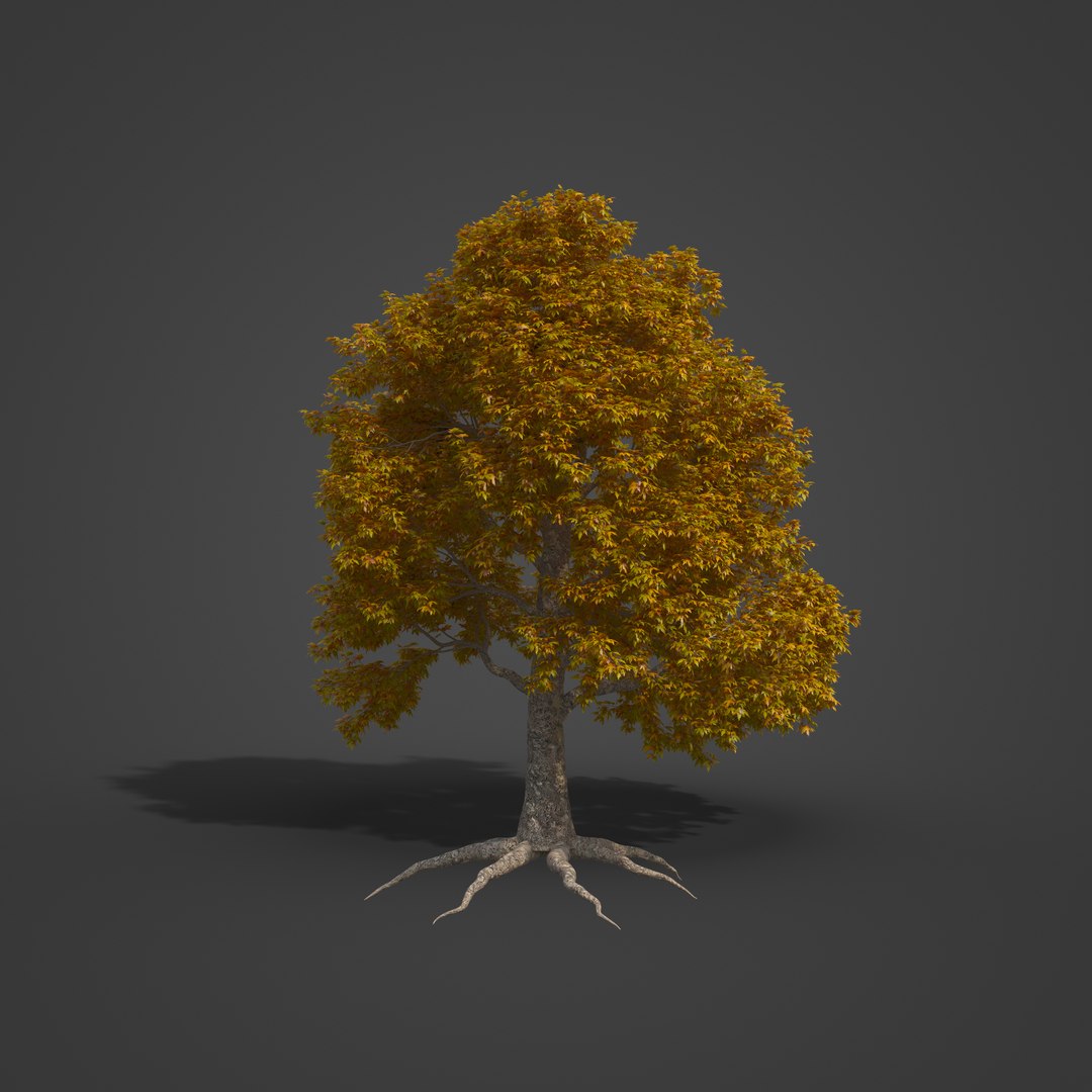 2021 PBR Oriental Planetree Collection - Platanus Orientalis 3D Model ...