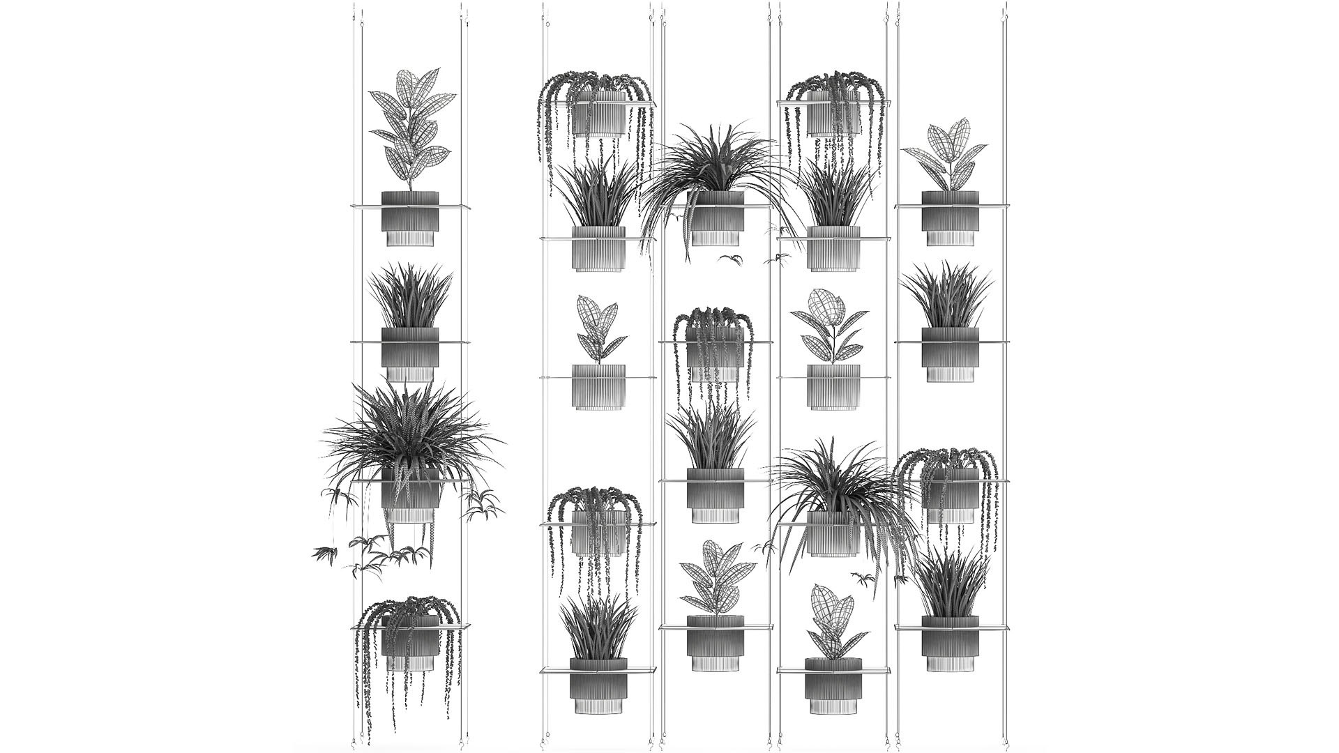 Hanging shelf on ropes pot Senecio Ficus Chlorophytum 1421 3D ...