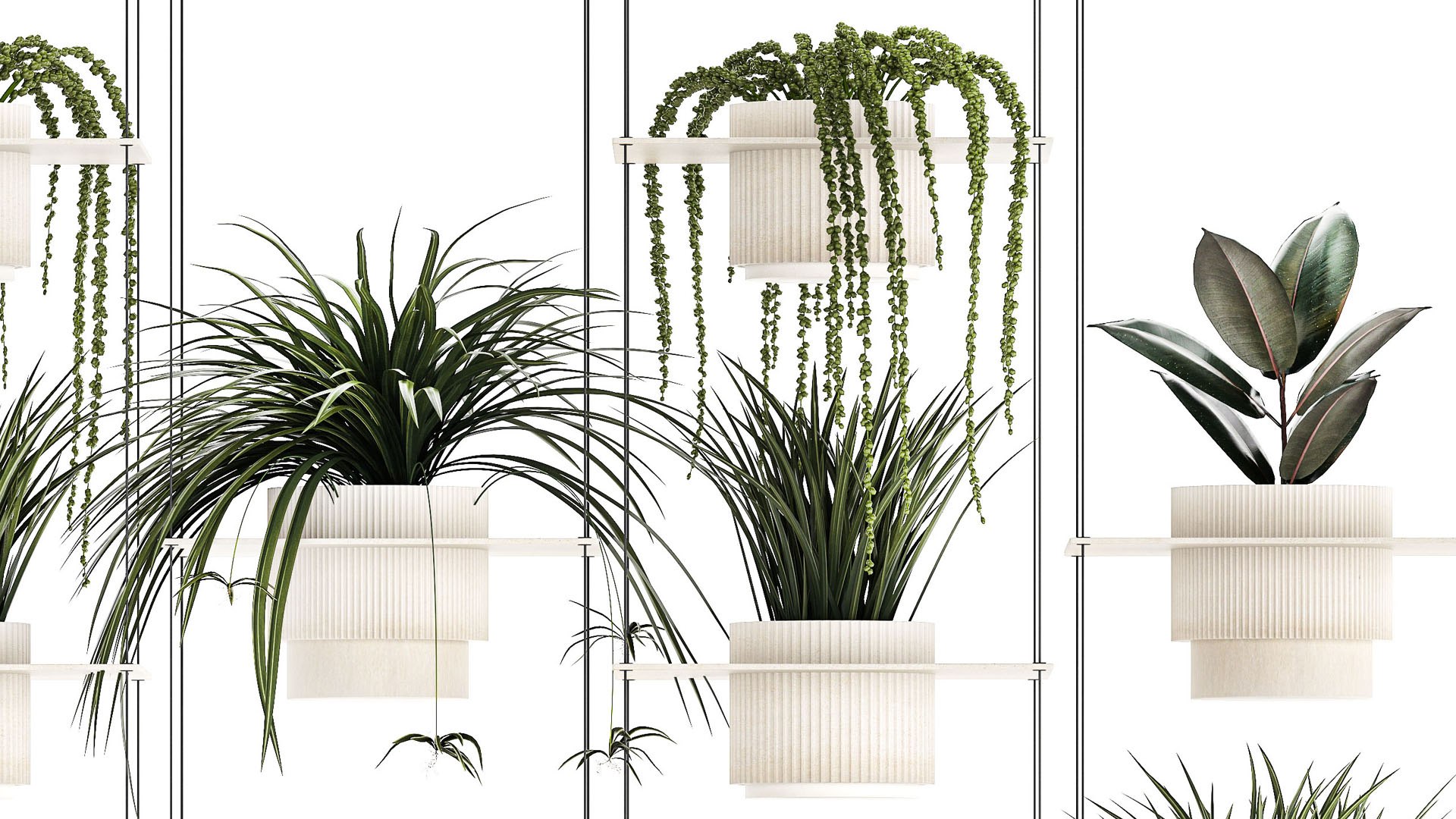 Hanging Shelf On Ropes Pot Senecio Ficus Chlorophytum 1421 3D ...