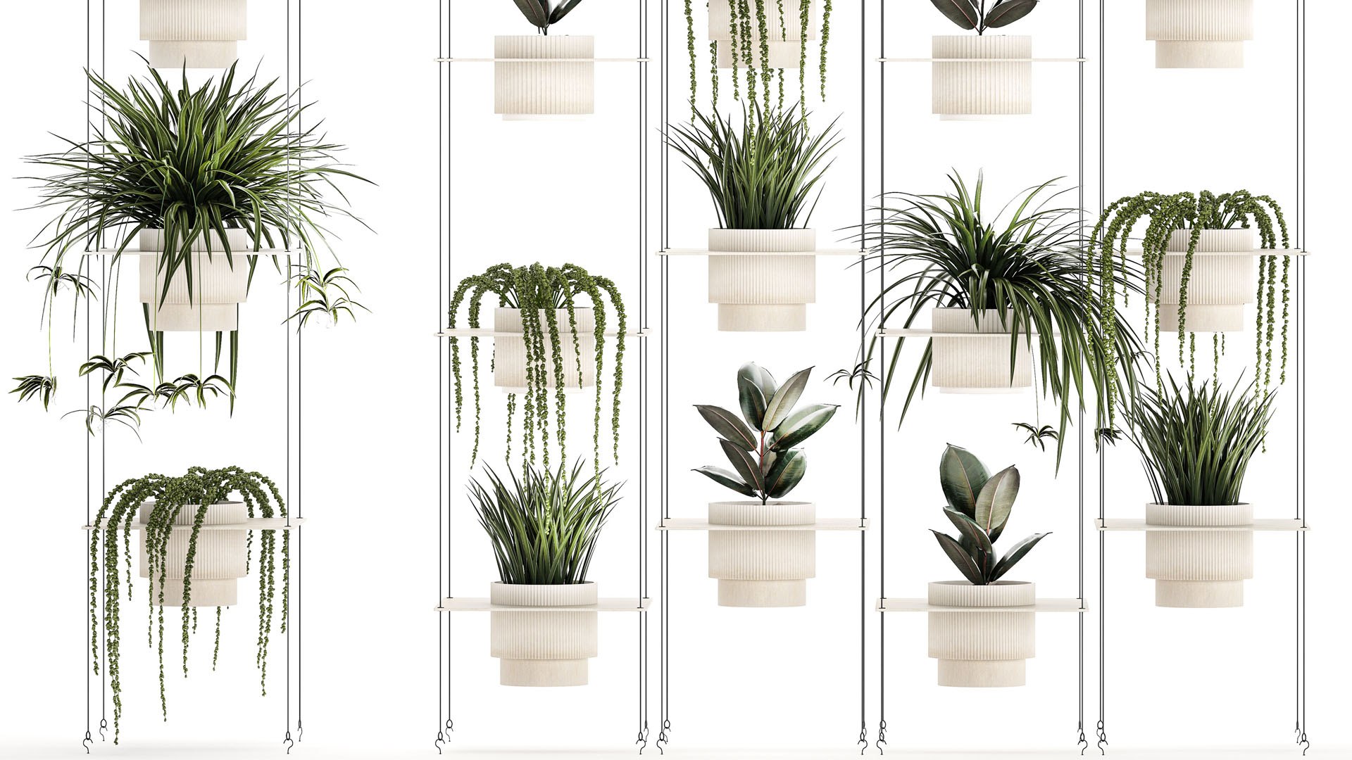 Hanging shelf on ropes pot Senecio Ficus Chlorophytum 1421 3D ...