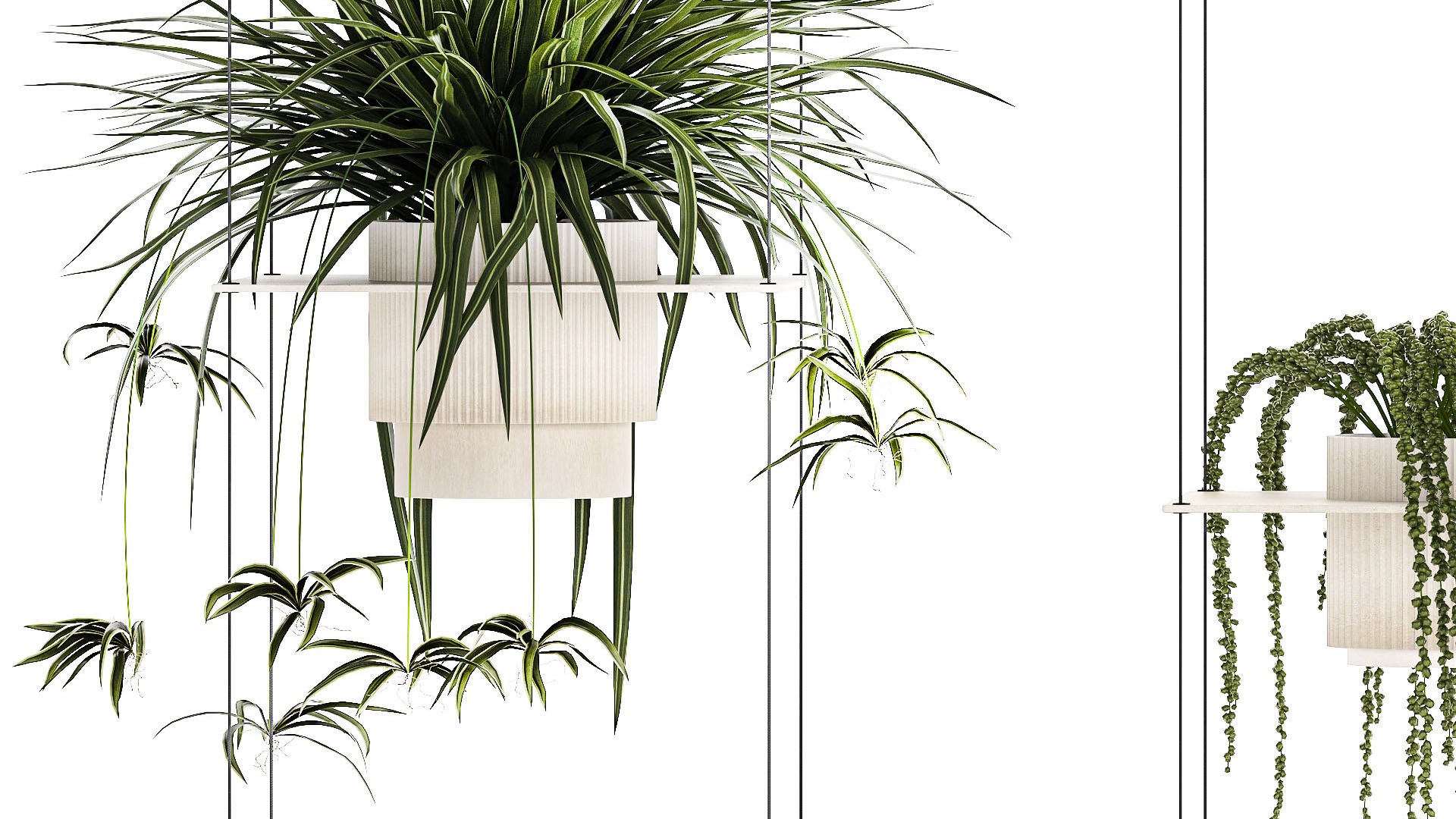 Hanging shelf on ropes pot Senecio Ficus Chlorophytum 1421 3D ...