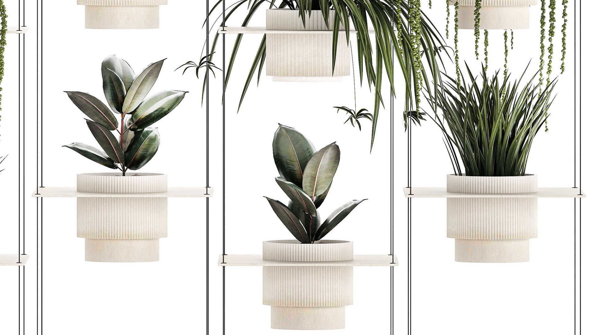 Hanging shelf on ropes pot Senecio Ficus Chlorophytum 1421 3D ...