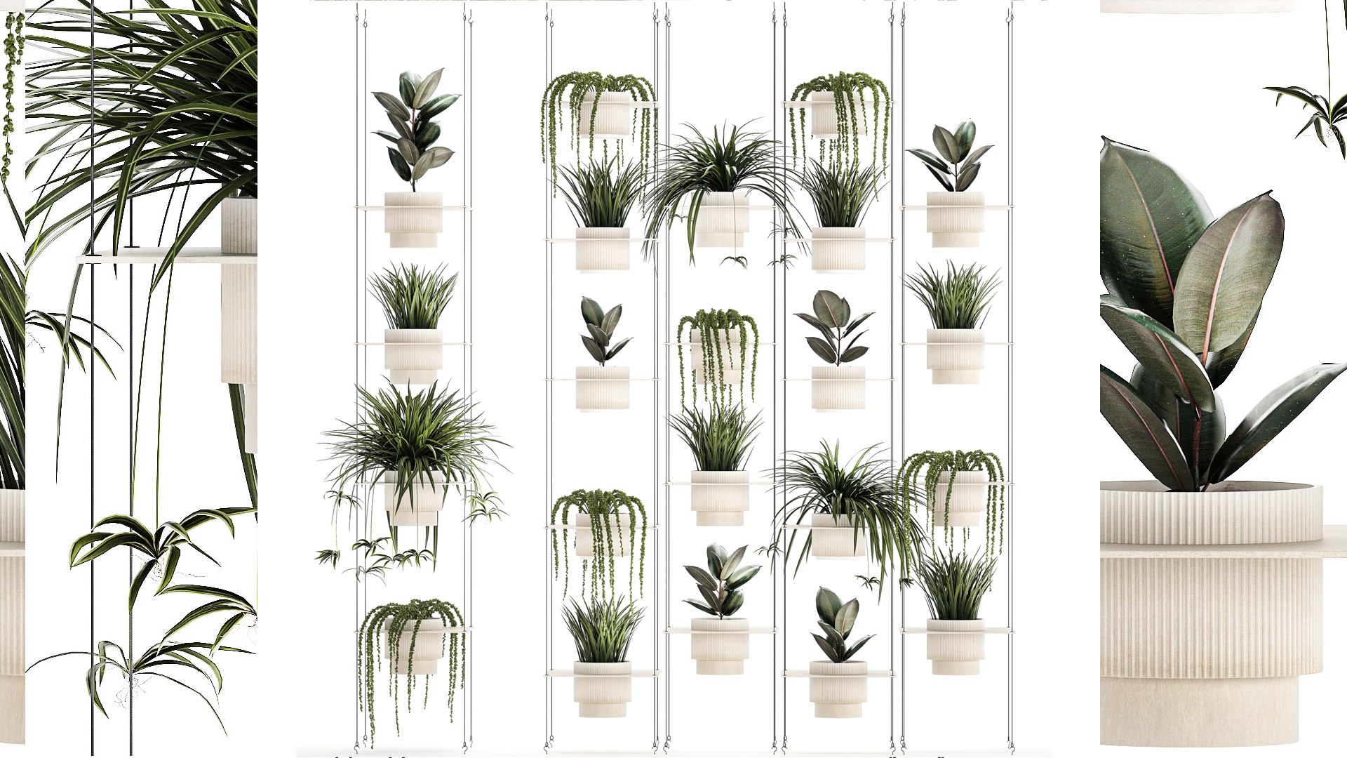 Hanging Shelf On Ropes Pot Senecio Ficus Chlorophytum 1421 3D ...