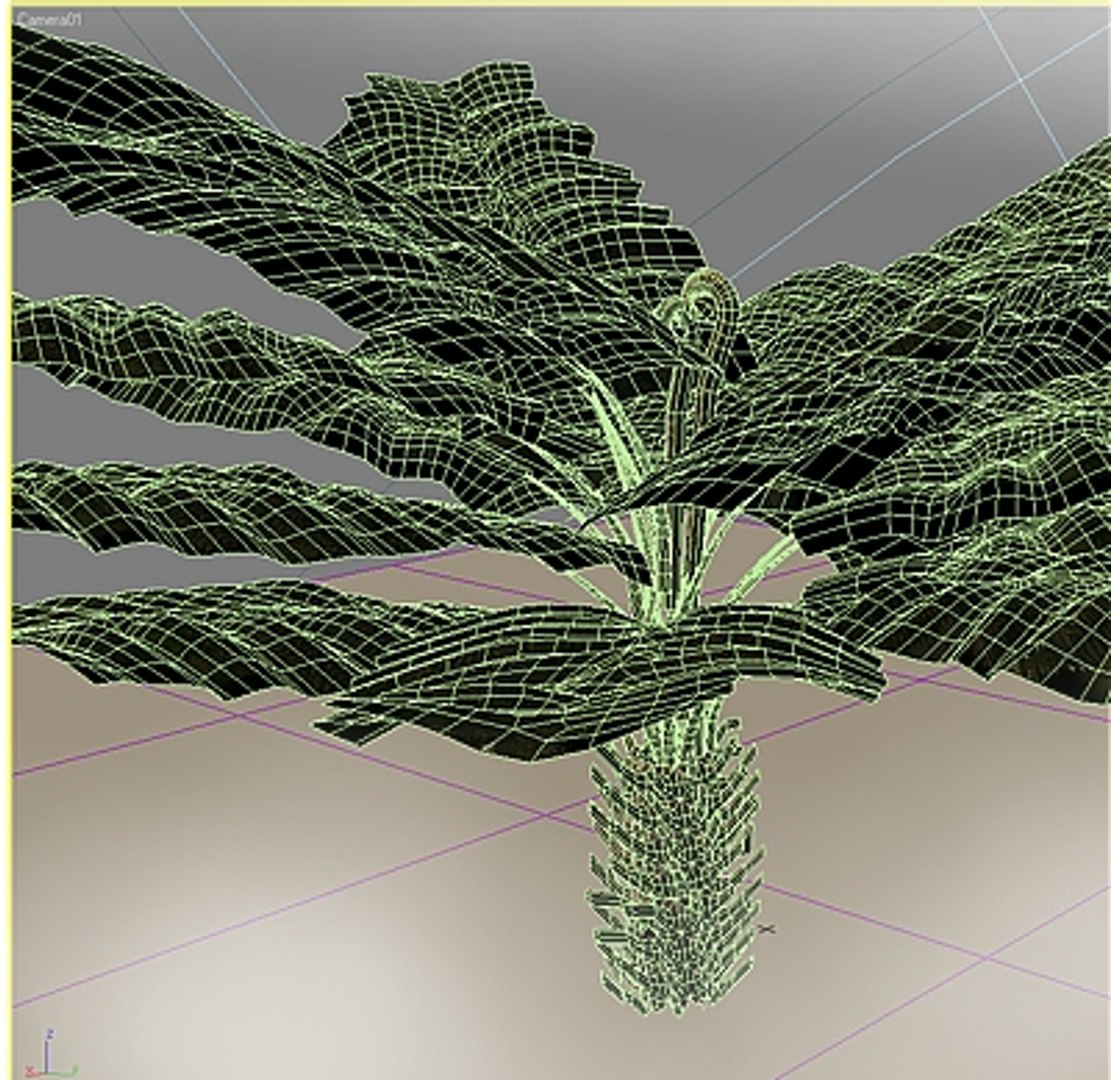3d Model Tree Fern