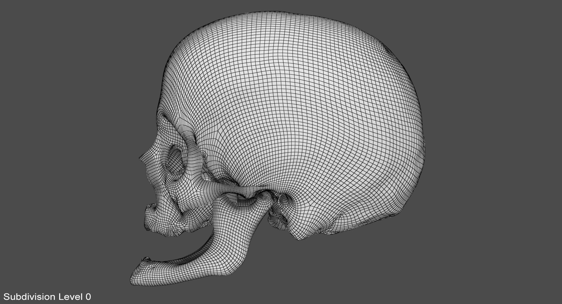 real human skull scan 3d model