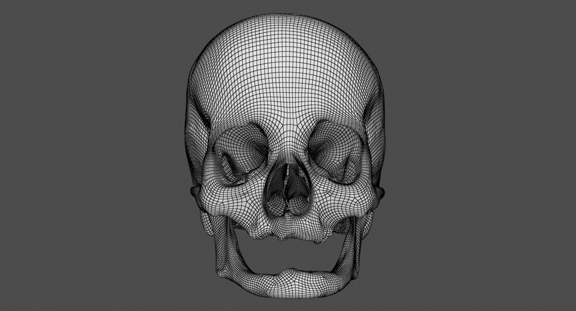 real human skull scan 3d model