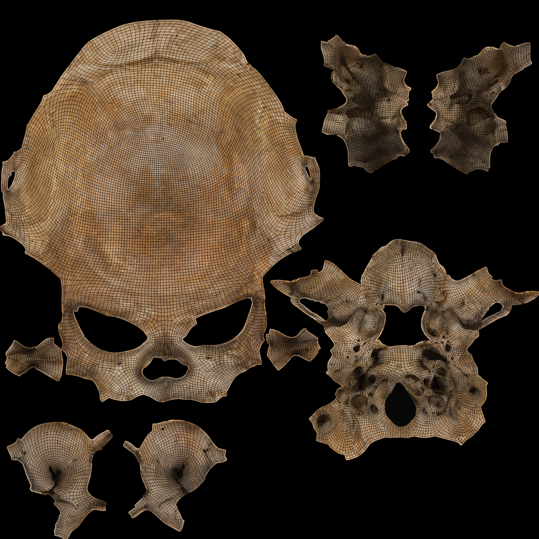 real human skull scan 3d model