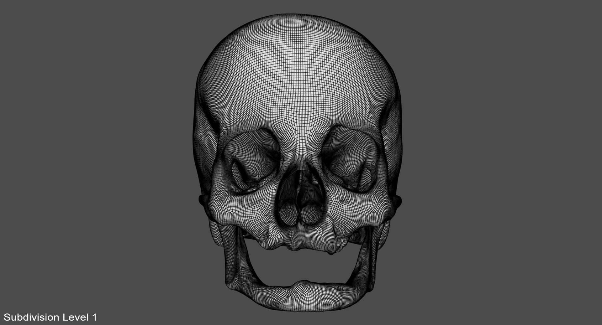 real human skull scan 3d model