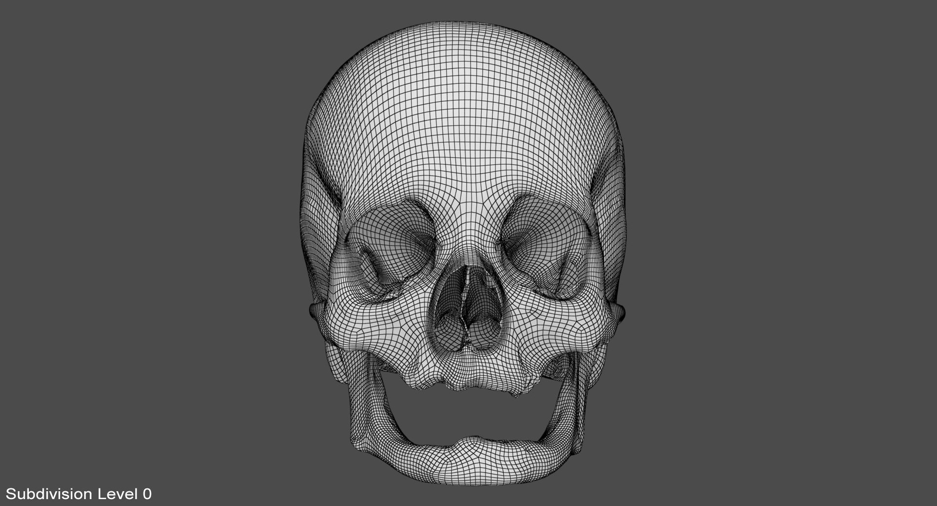 real human skull scan 3d model
