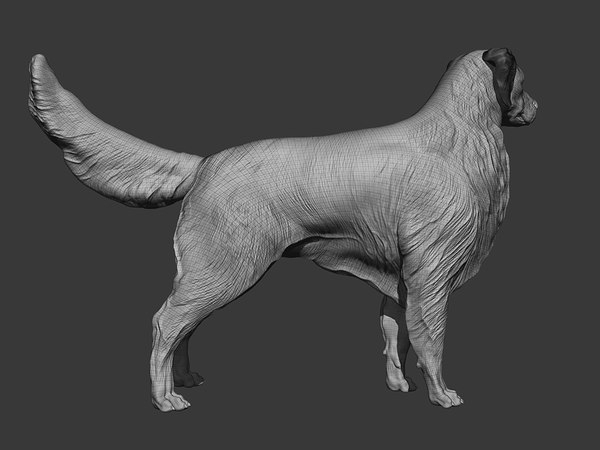 Free 3D Golden-Retriever Models | TurboSquid