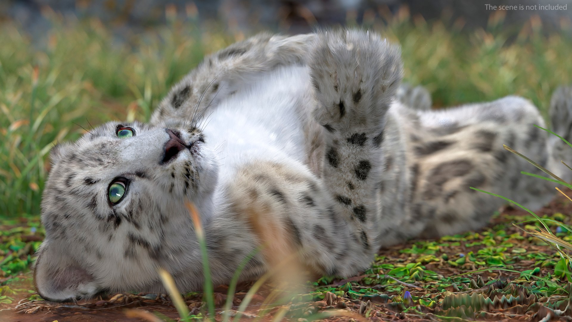 Snow Leopard Cub In Lying Playful Pose Fur For Cinema 4D Model - TurboSquid 2421954