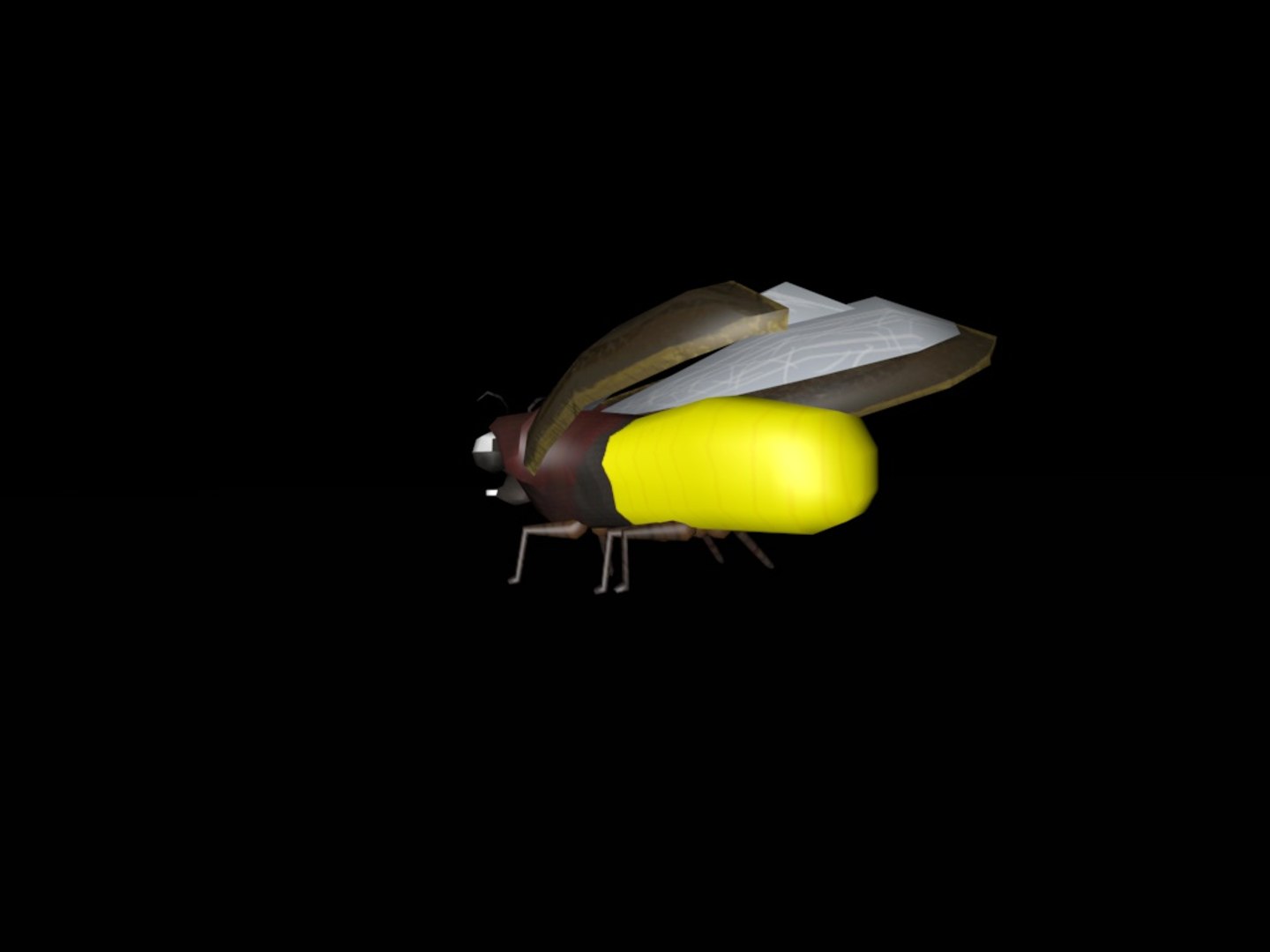 Firefly 3d Model