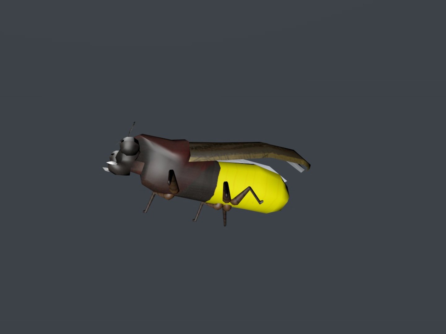 Firefly 3d Model
