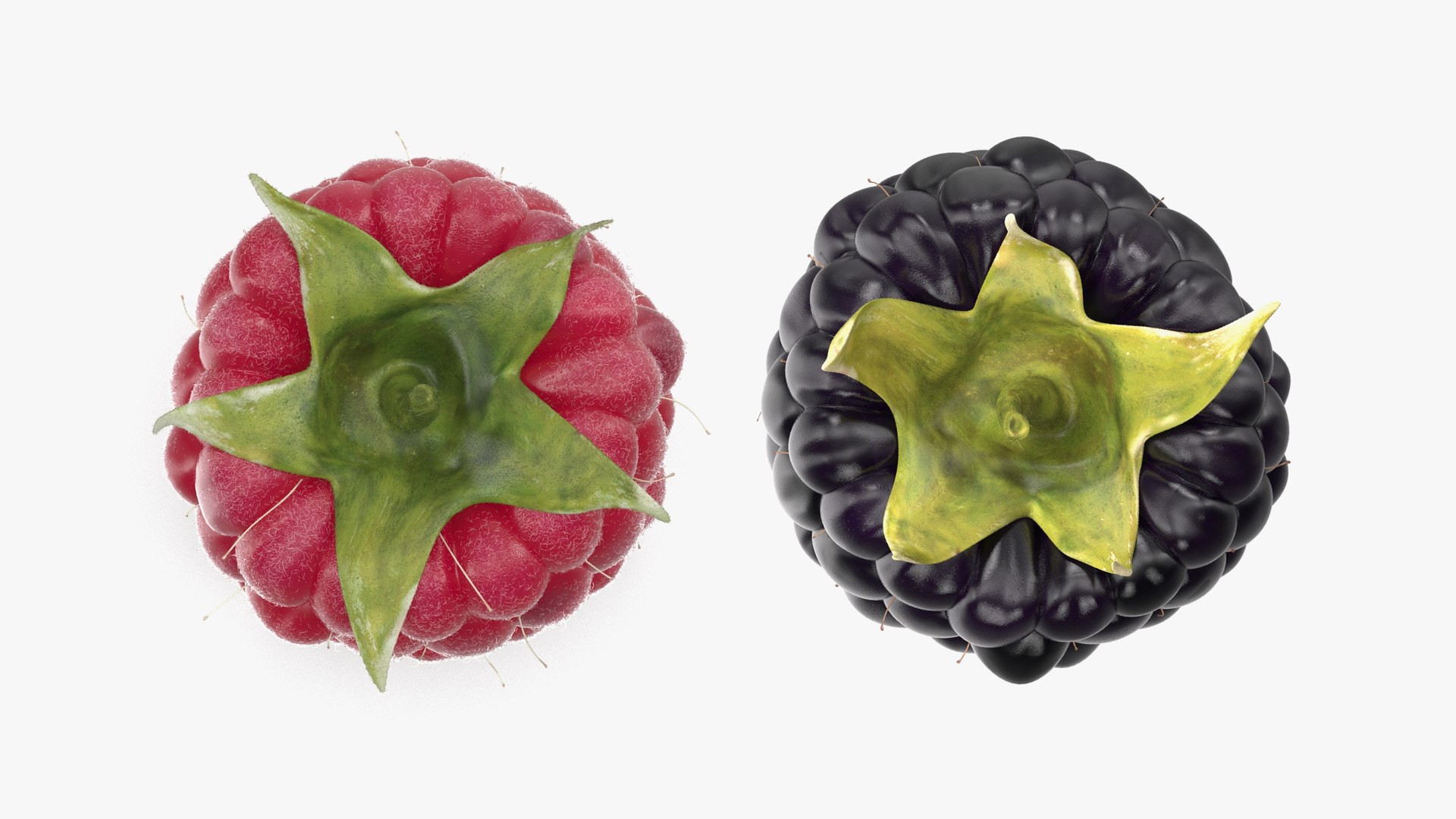 3D Fresh Berry Collections - TurboSquid 2040526