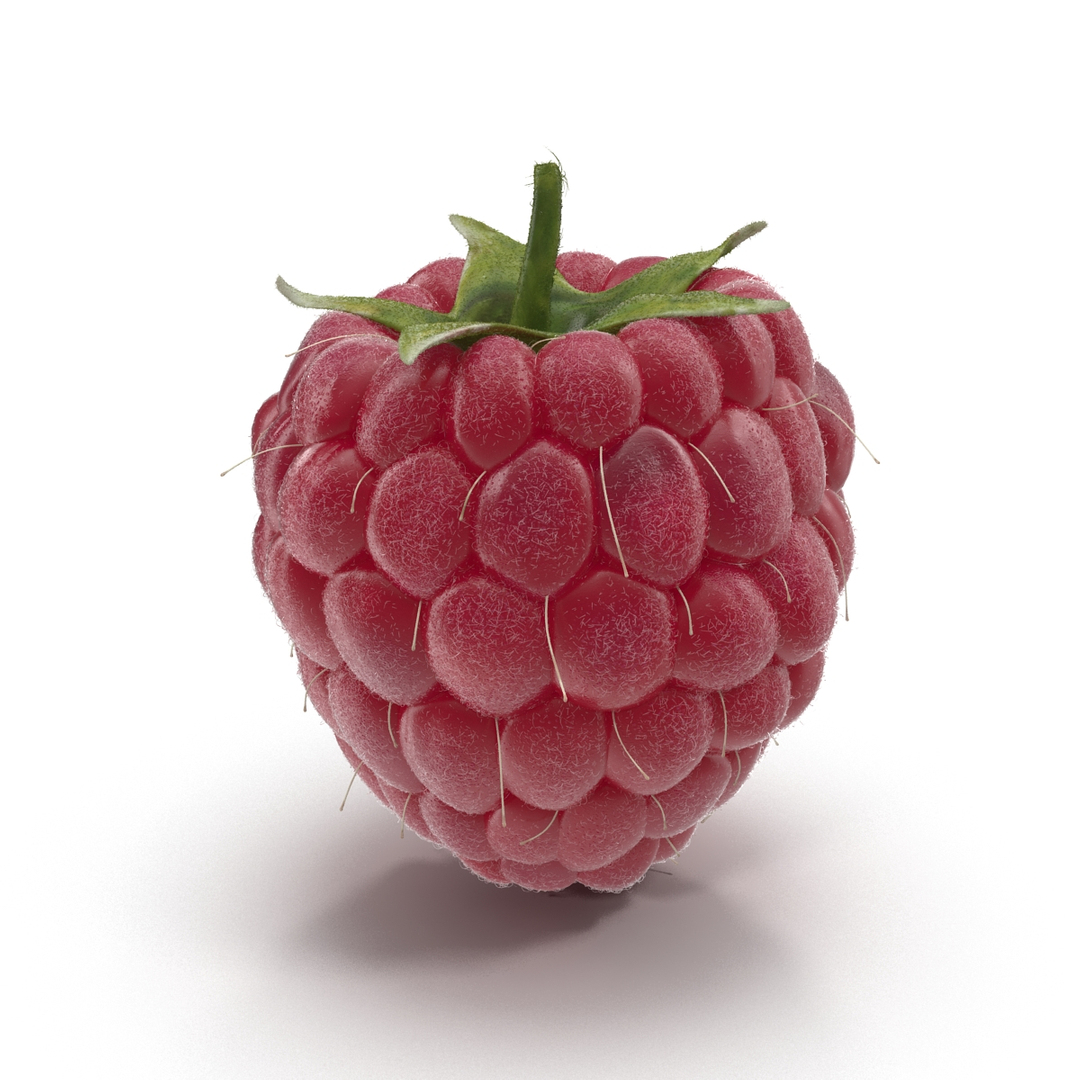 3D Fresh Berry Collections - TurboSquid 2040526