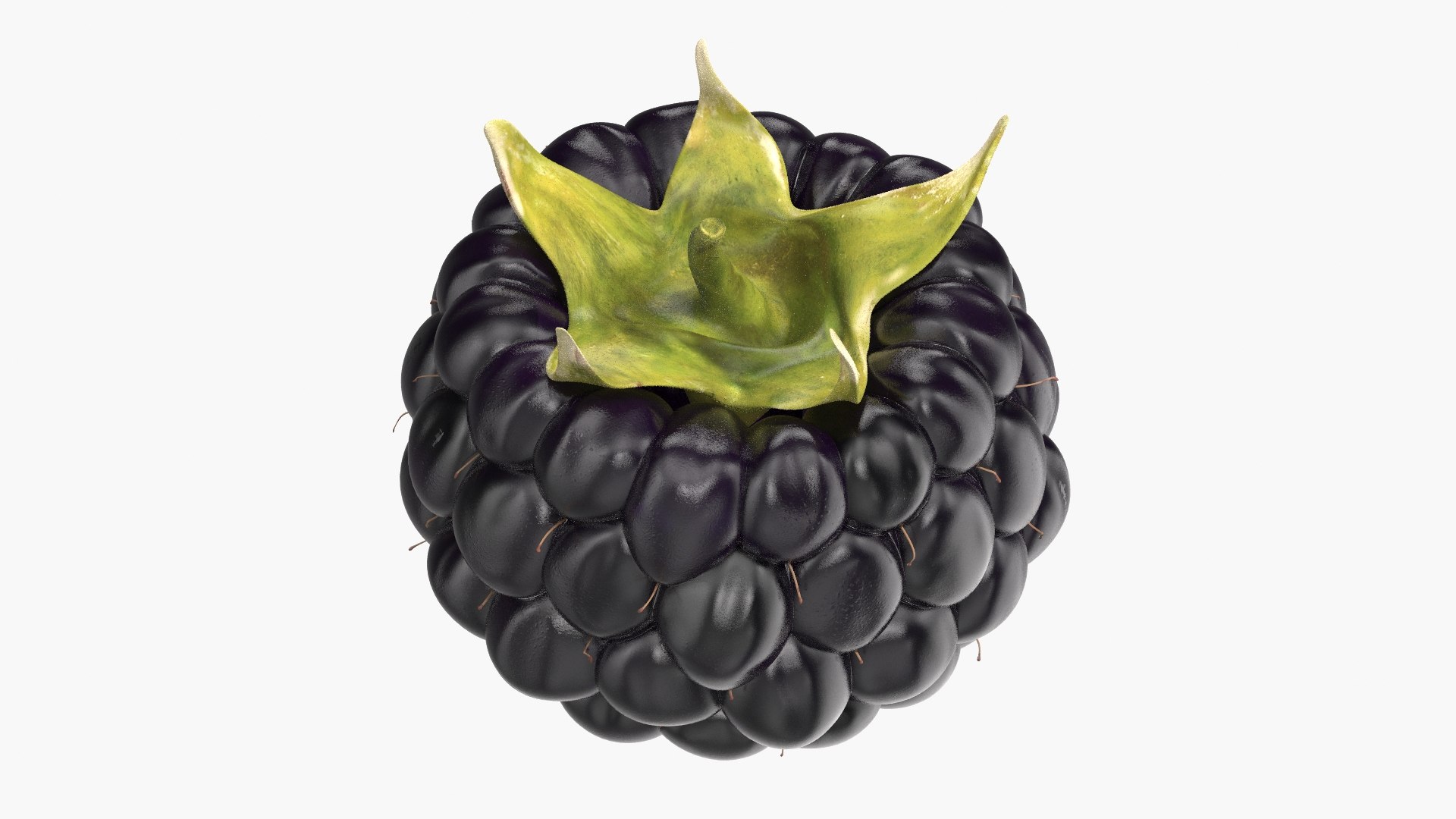 3D Fresh Berry Collections - TurboSquid 2040526