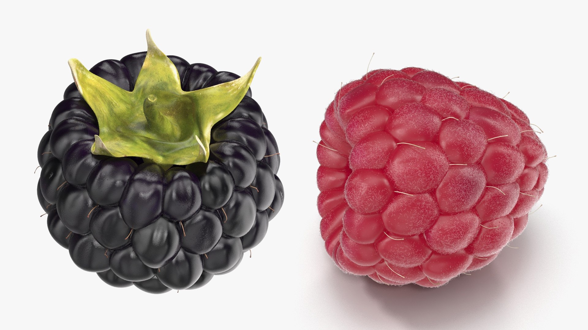 3D Fresh Berry Collections - TurboSquid 2040526