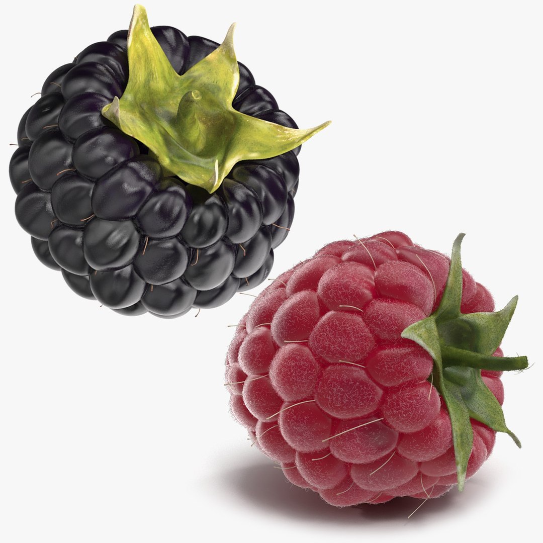 3D Fresh Berry Collections - TurboSquid 2040526