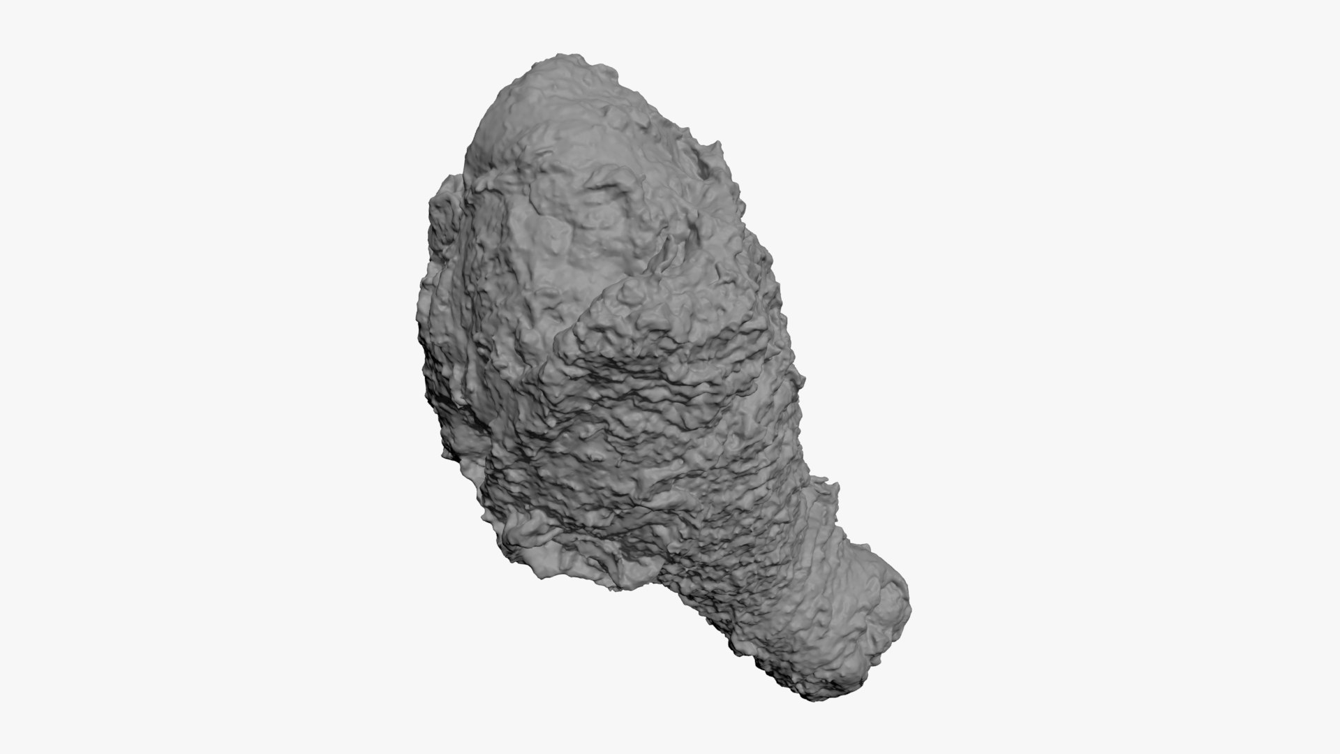 Fried Chicken Leg 3D Print 3D - TurboSquid 2290141