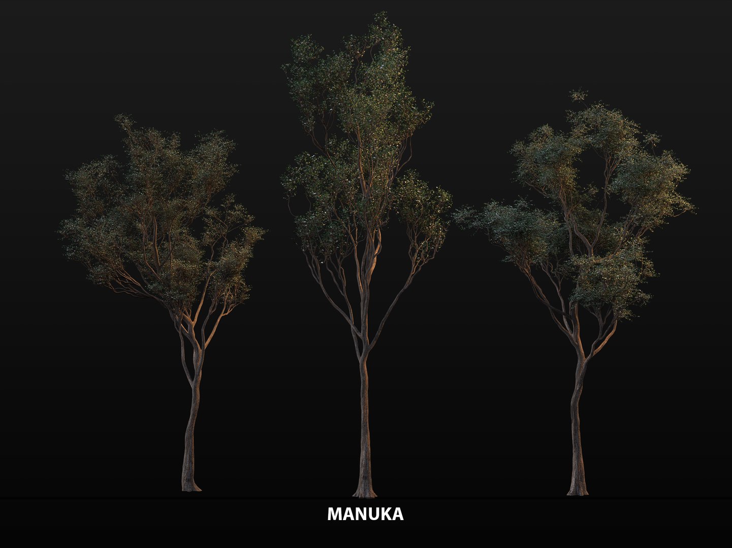 3D Model Tree Pack Manuka - TurboSquid 1711749