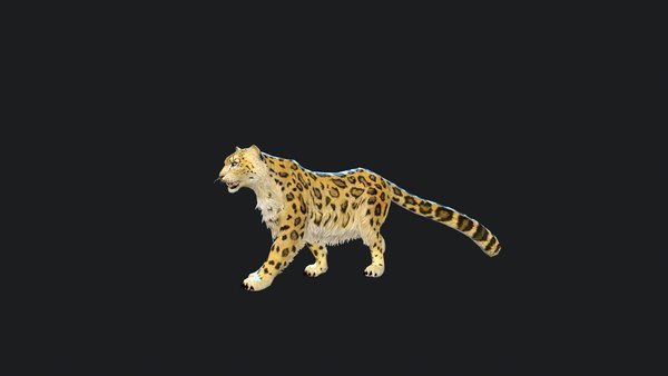 3D model Leopard Animation - TurboSquid 2005387