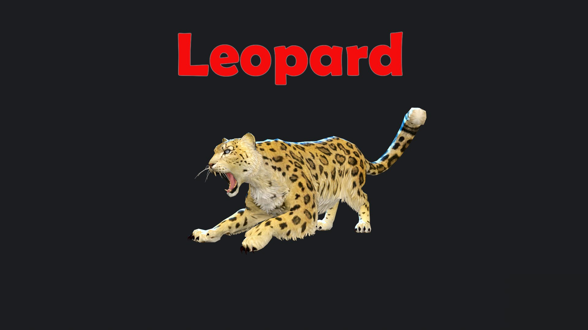3D model Leopard Animation - TurboSquid 2005387
