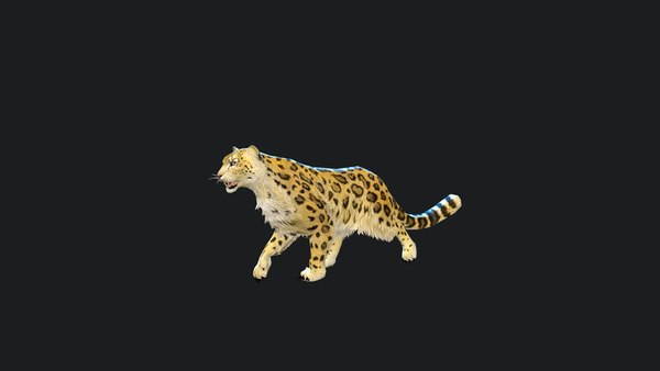 3D model Leopard Animation - TurboSquid 2005387