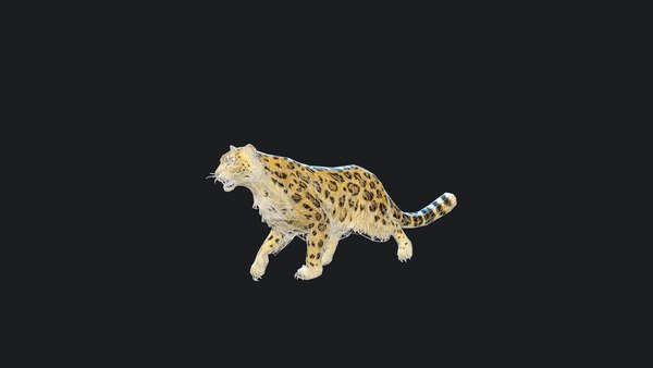 3D model Leopard Animation - TurboSquid 2005387
