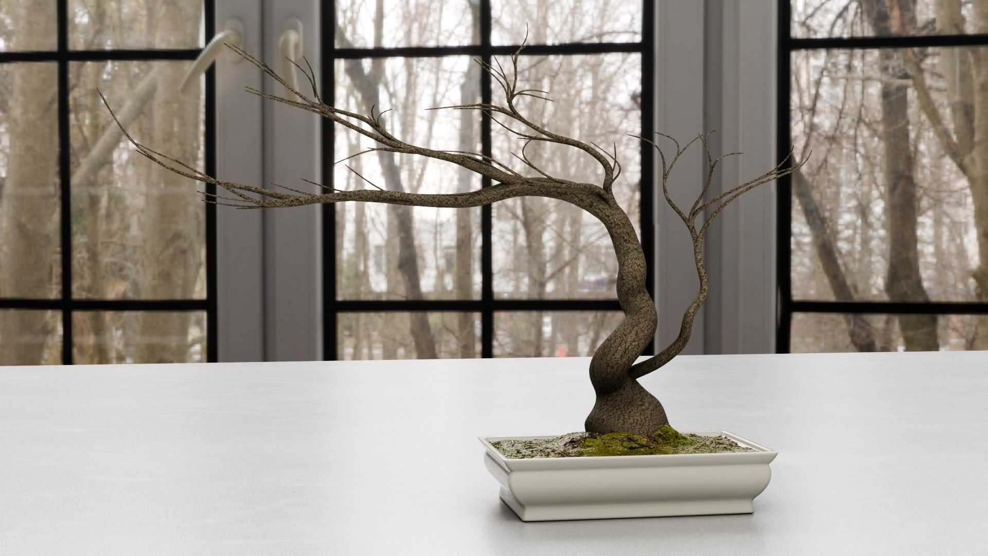 Bonsai Dry Tree Model - TurboSquid 2341997